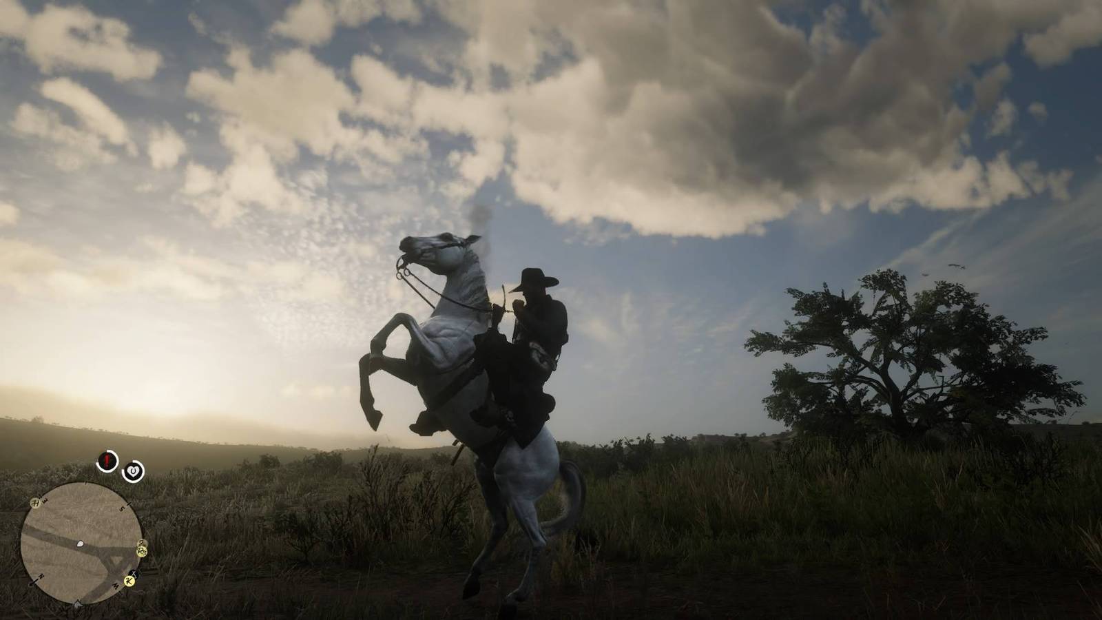 work horses rdr2