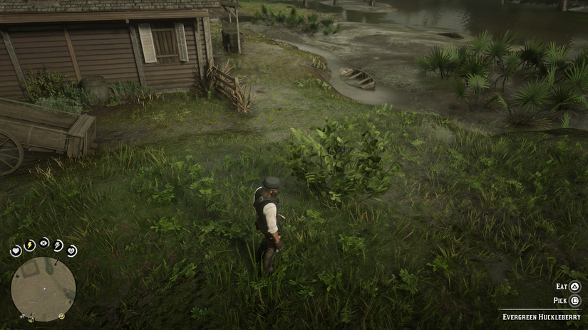 Red Dead Redemption 2 Herbalism Challenge 3 guide: Every berry location