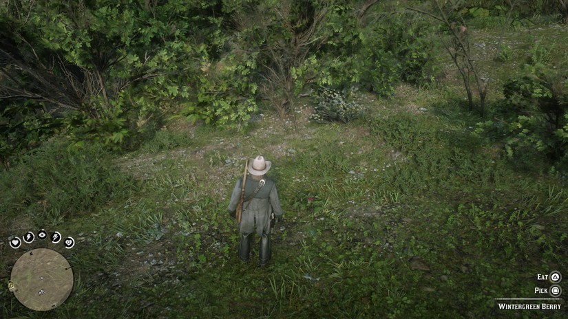 Red Dead Redemption 2 Herbalism Challenge 3 guide: Every berry location