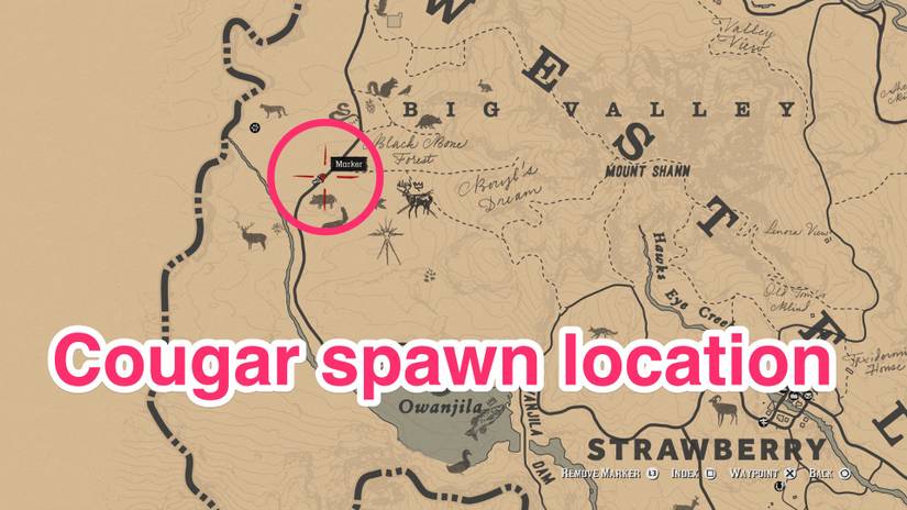 cougar spawns rdr2