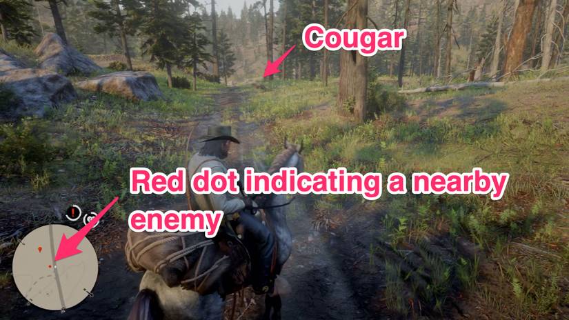 cougars rdr1