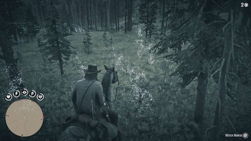cougar spawns rdr2