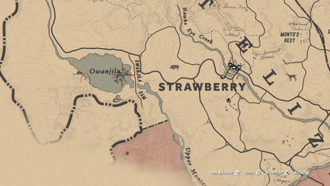 Find RDR2 Legendary Fish guide with maps