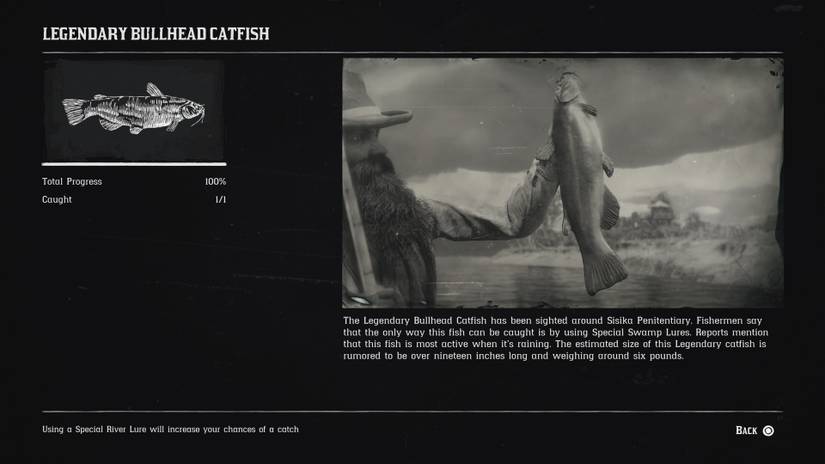 Find RDR2 Legendary Fish guide with maps