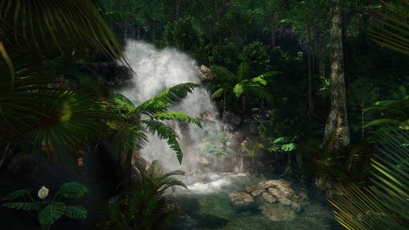 Wander is a non-combat MMO where you play as a tree and explore without ...