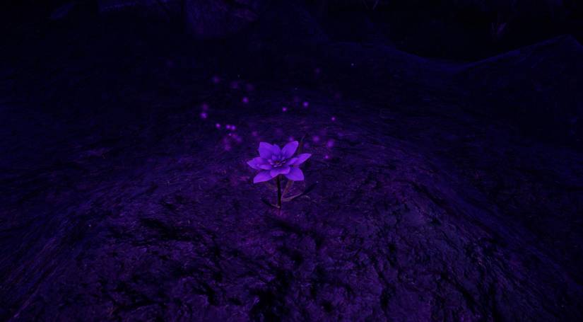 Wander is a non-combat MMO where you play as a tree and explore without ...