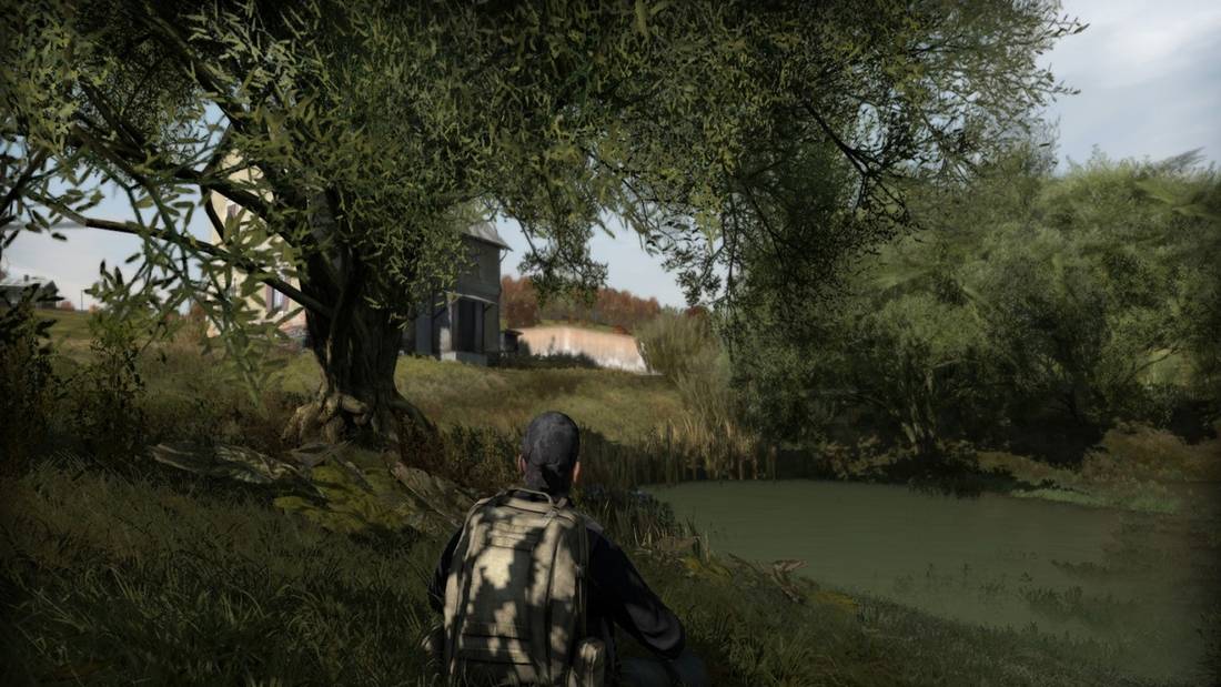 DayZ pricing model outlined, currently in closed alpha