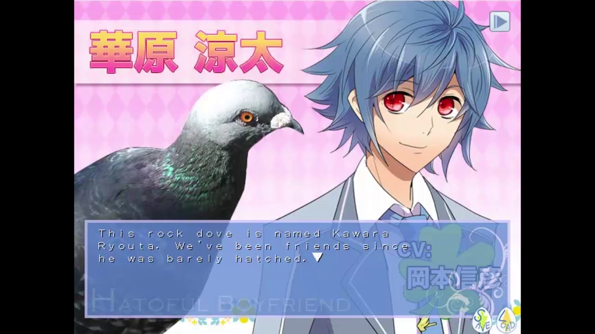 Turn a pigeon into your boyfriend in this Hatoful Boyfriend remake for ...