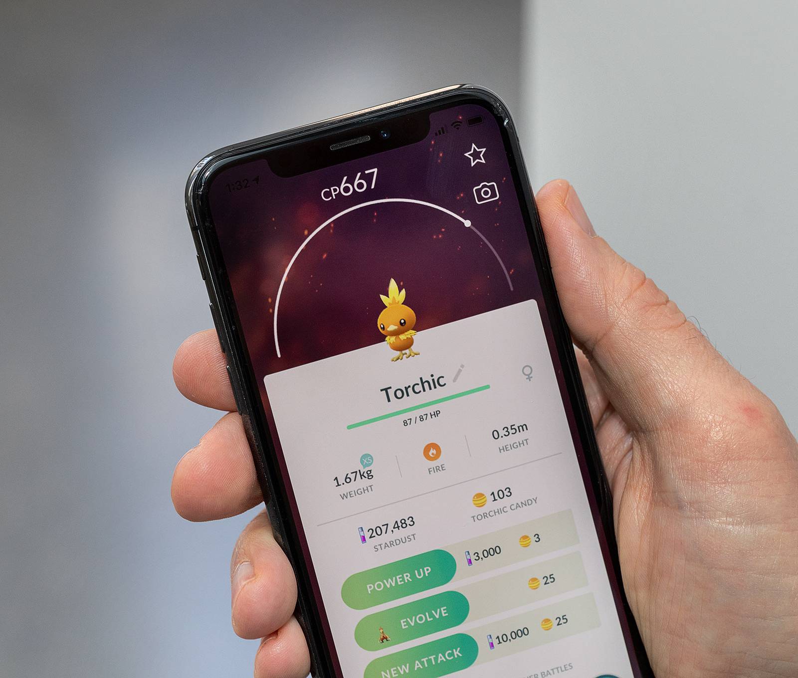 should i evolve torchic