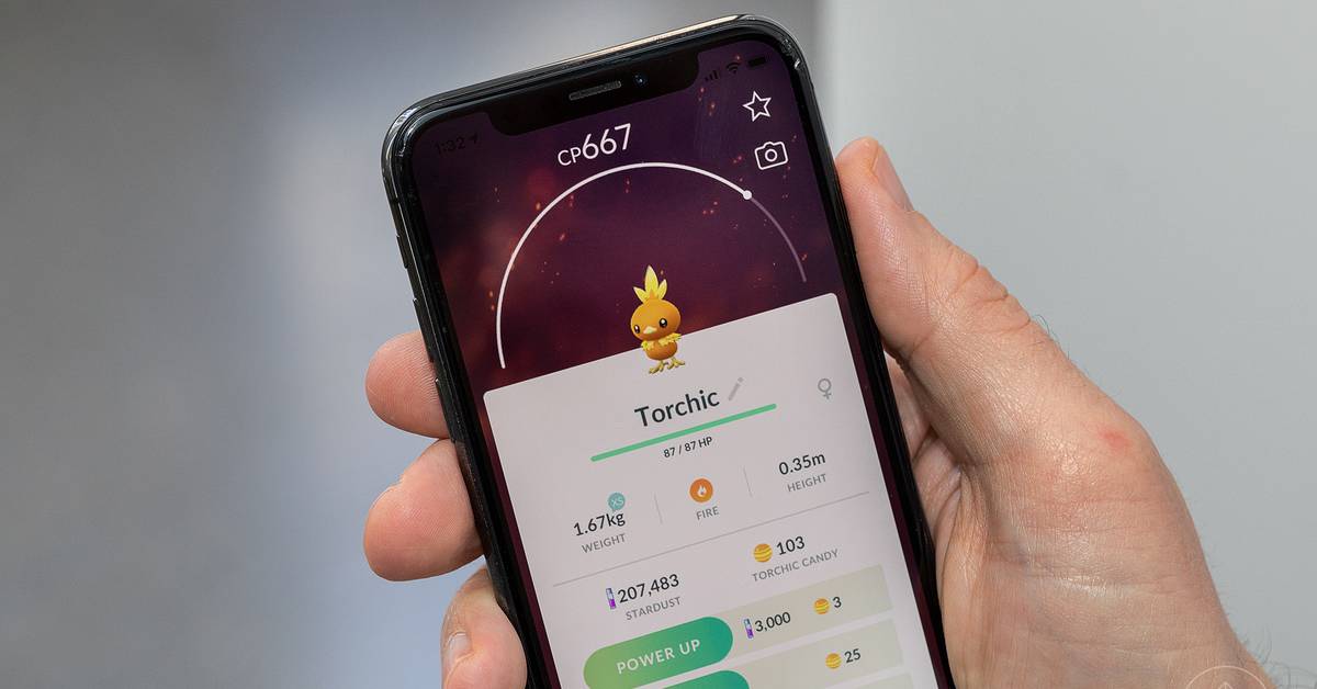 torchic best ability