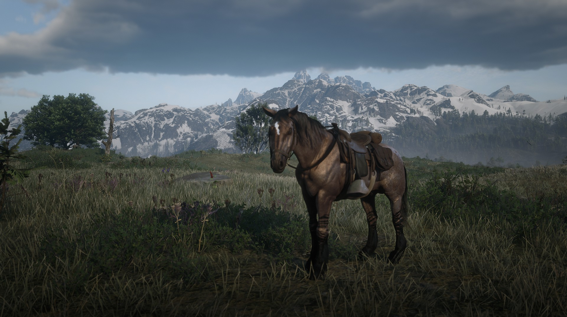 draft horses rdr2