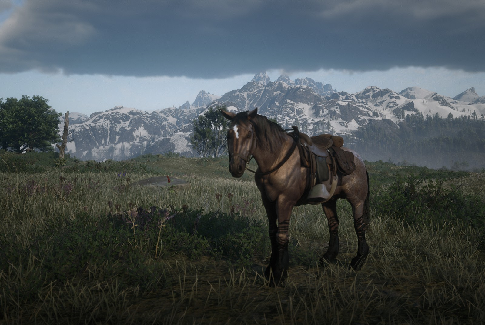 black shire horse rdr2
