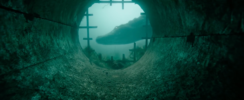 Crawl review: best alligators-attack-in-a-hurricane disaster movie ever