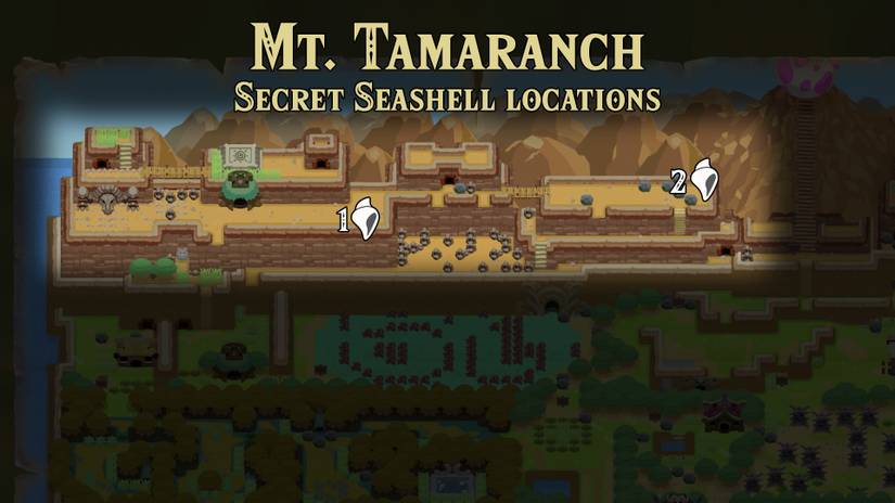 Every Secret Seashell location in Link’s Awakening