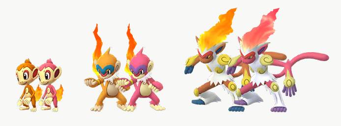chimchar evo level