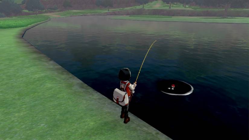 Pokémon Sword and Shield guide: Wild Area explained