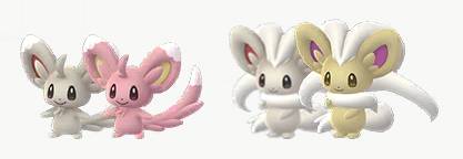 minccino evolution