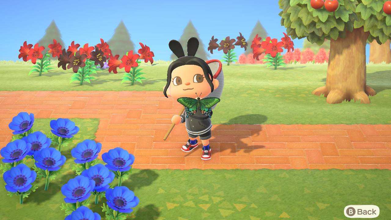 ACNH bug list and all Animal Crossing bug guide