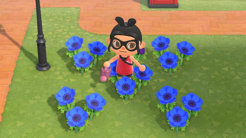 All flowers and hybrids in ACNH