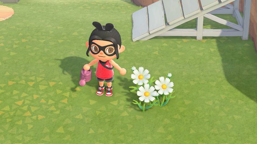 All flowers and hybrids in ACNH