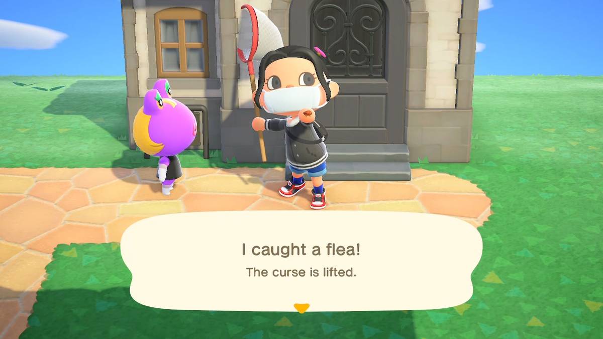 How to catch fleas in Animal Crossing: New Horizons (Switch)