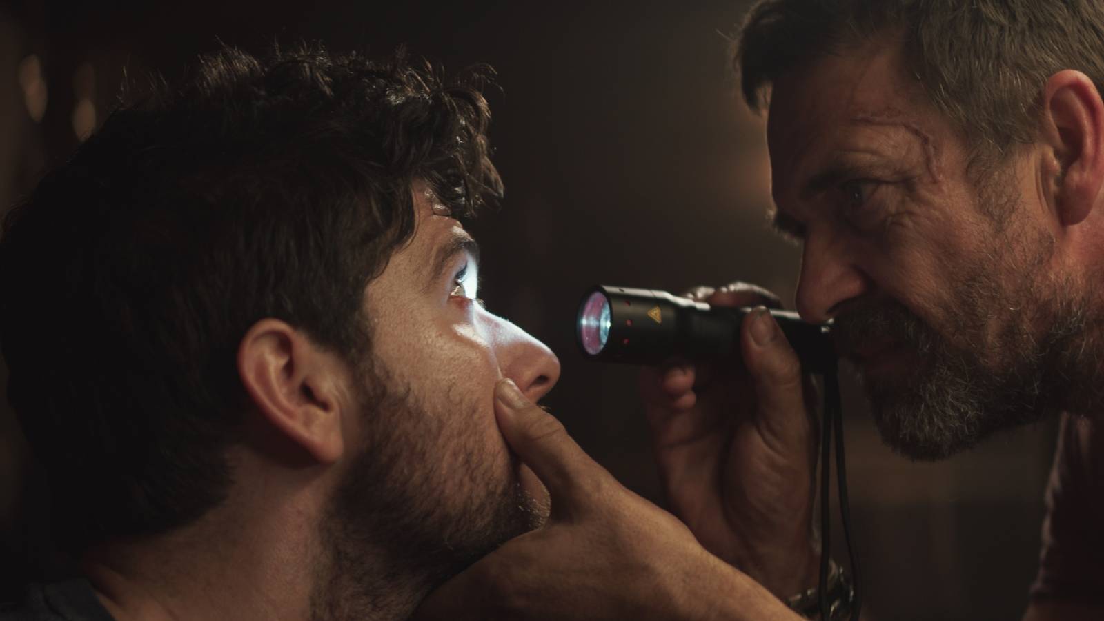 Sea Fever review: a too-timely horror movie about quarantine and contagion