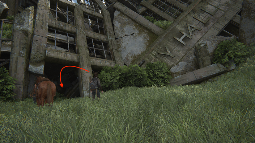 ellie day 3 safe code