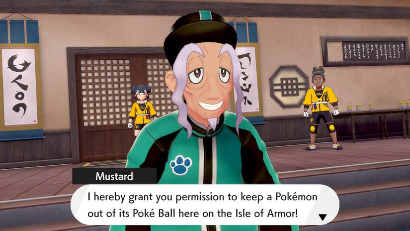 How to set a buddy Pokémon in Sword and Shield’s Isle of Armor expansion