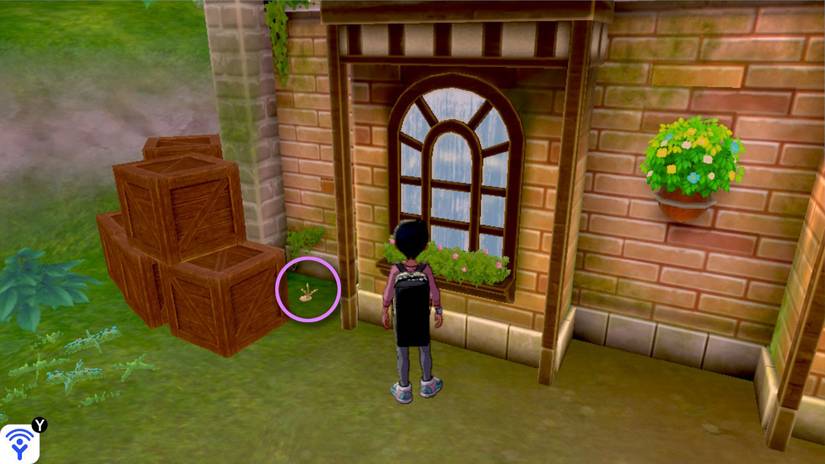 diglett evolution sword