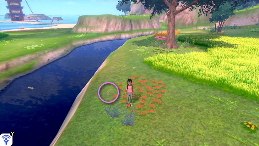 diglett evolution sword