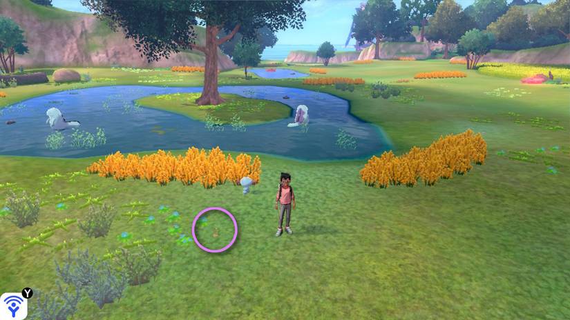 diglett evolution sword