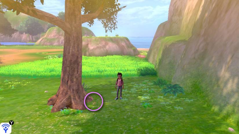 diglett evolution sword