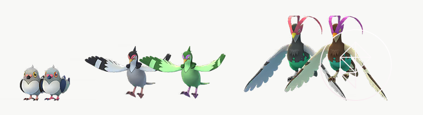 pidove evolution level black