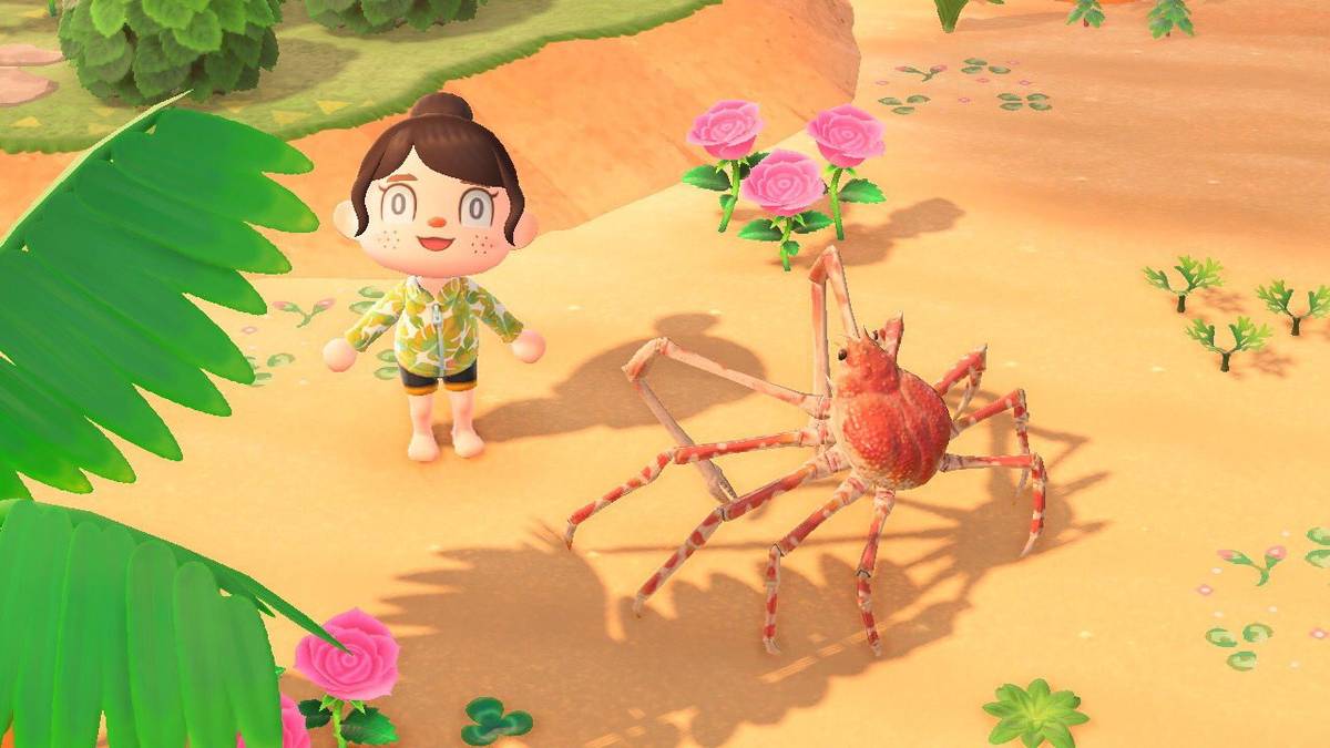 Animal Crossing: New Horizons new sea creatures make the best pets