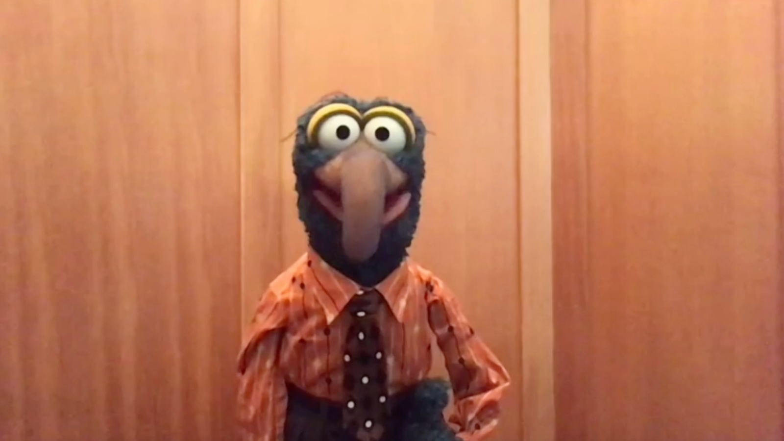gonzo muppet