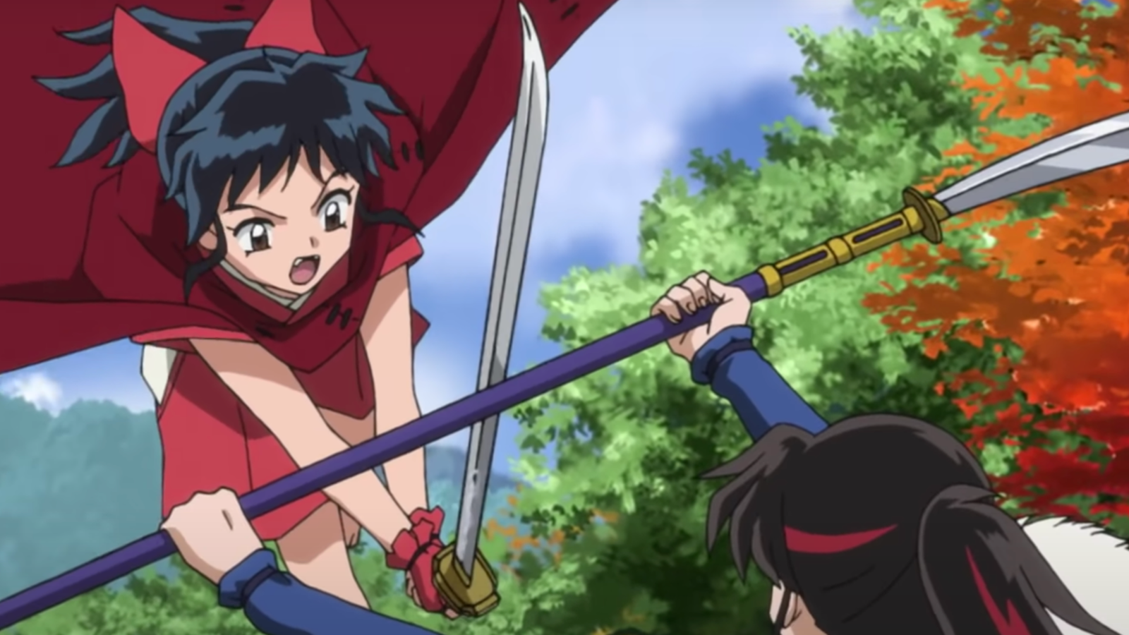 is inuyasha half demon