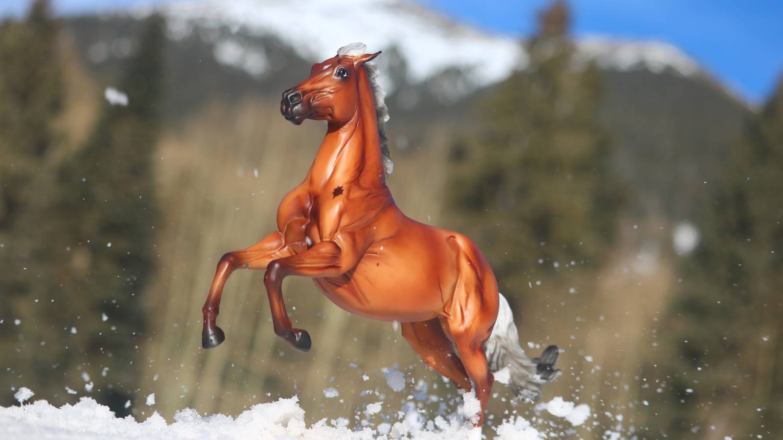 realistic horse picture