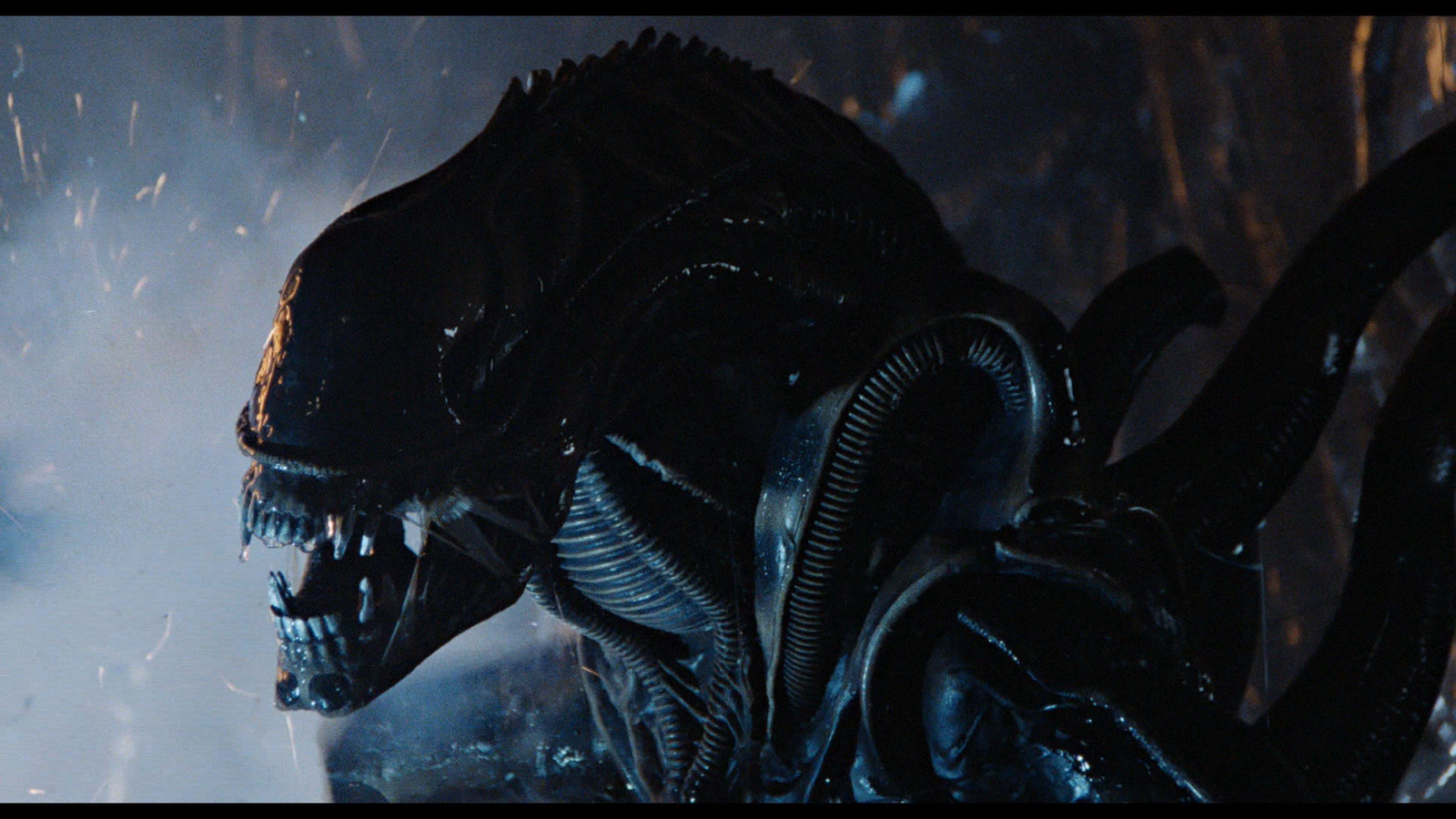 Alien series coming to FX and Hulu from Fargo creator Noah Hawley