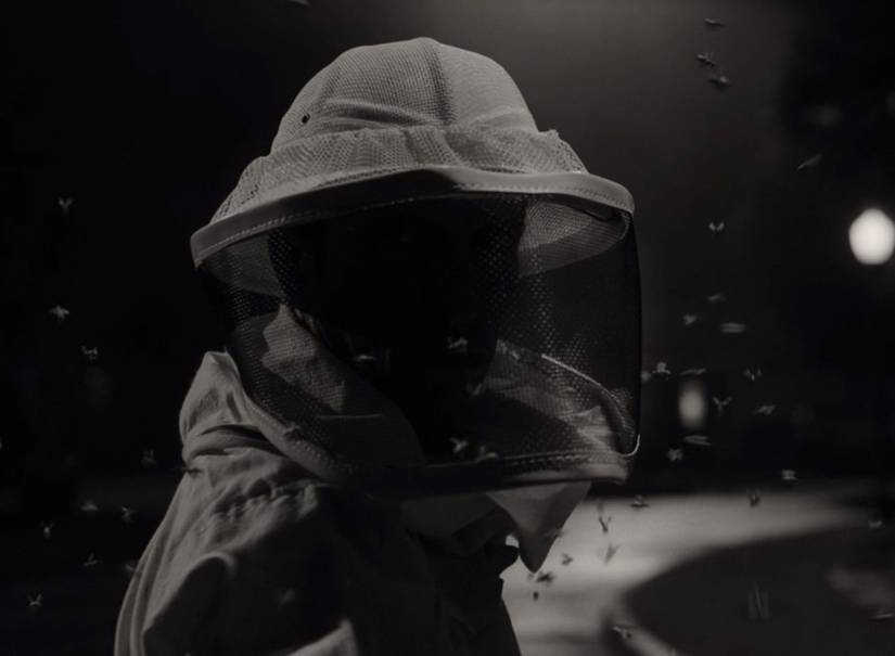 WandaVision: Who is the beekeeper? Maybe more than a Marvel Easter egg.