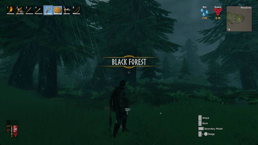 charred forest valheim