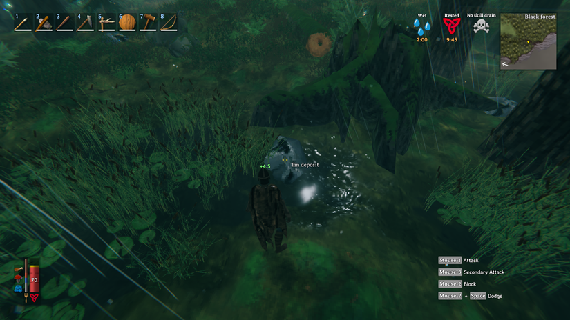 charred forest valheim