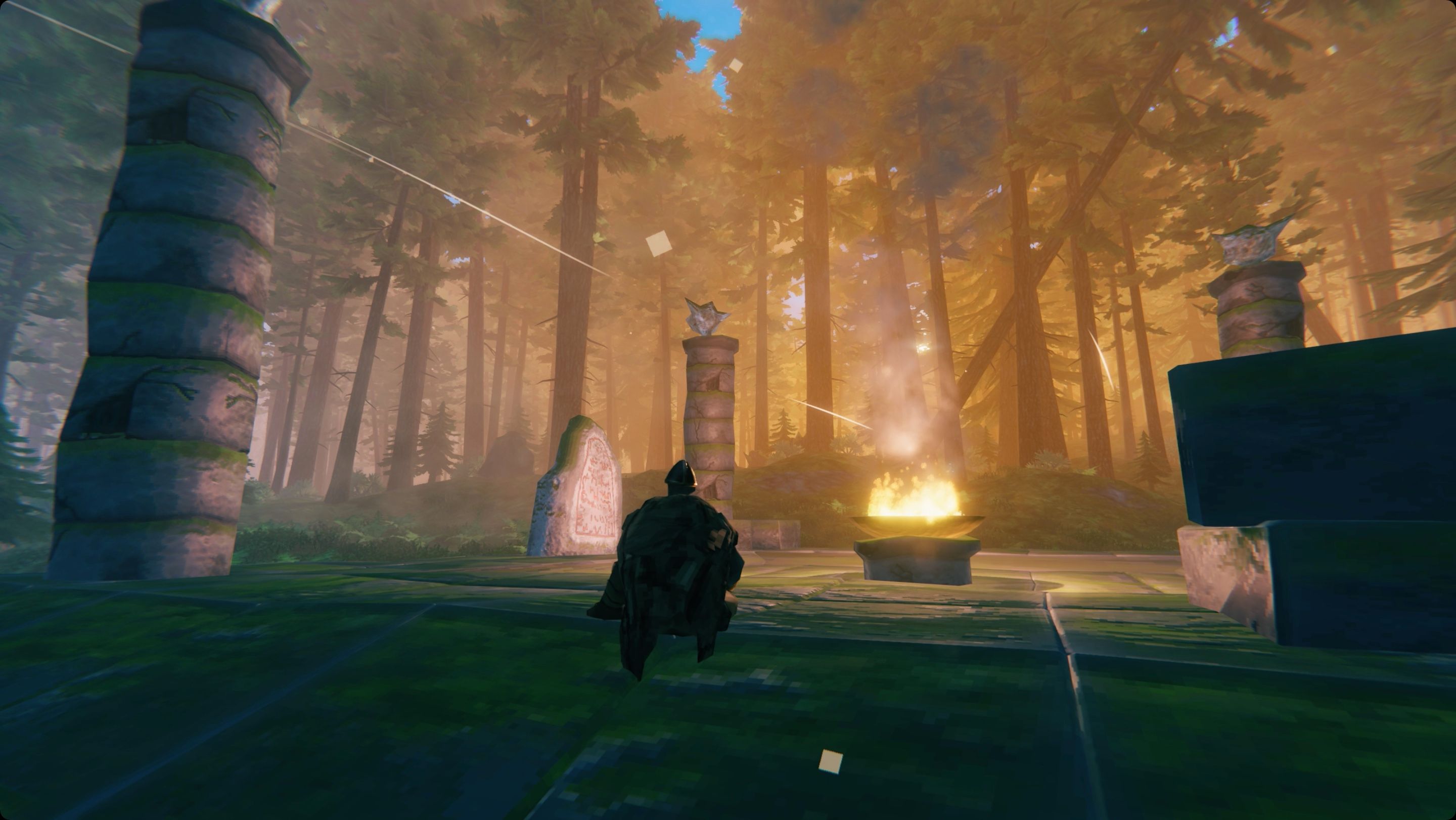 charred forest valheim