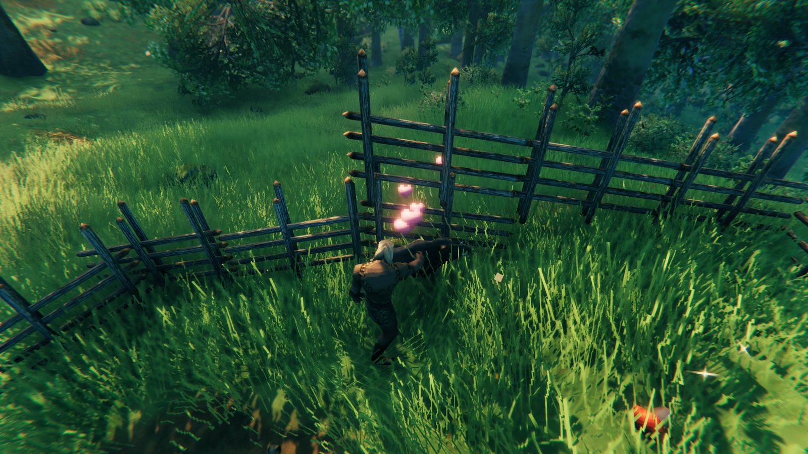 How to tame and breed boars in Valheim