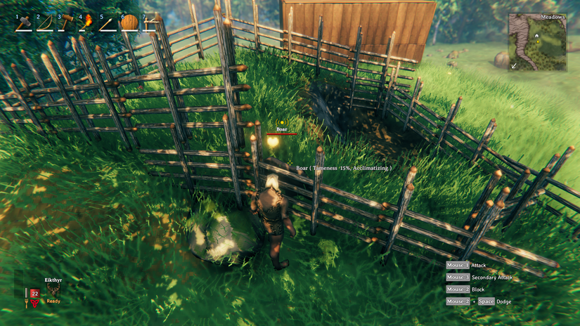 How to tame and breed boars in Valheim
