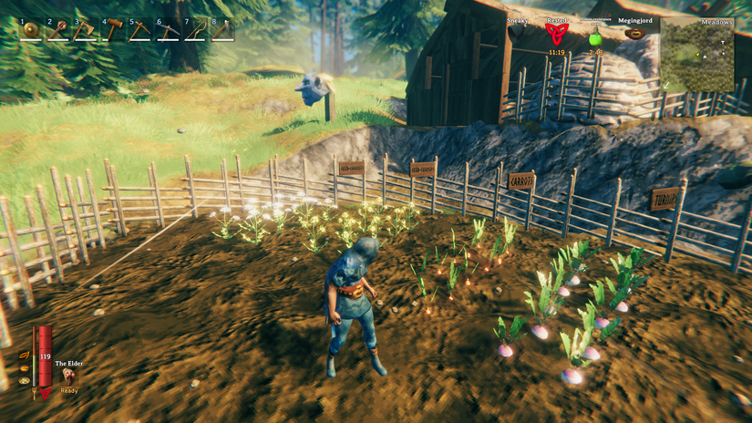 Valheim planting seeds and farming
