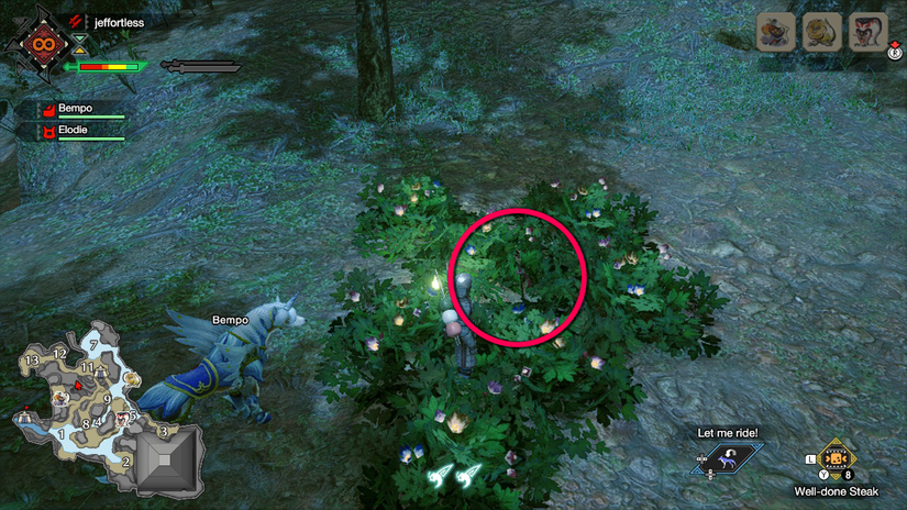 flooded forest mining spots