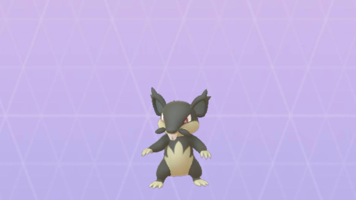 rattata evolves to