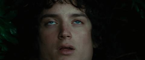 frodo eyes rolling back