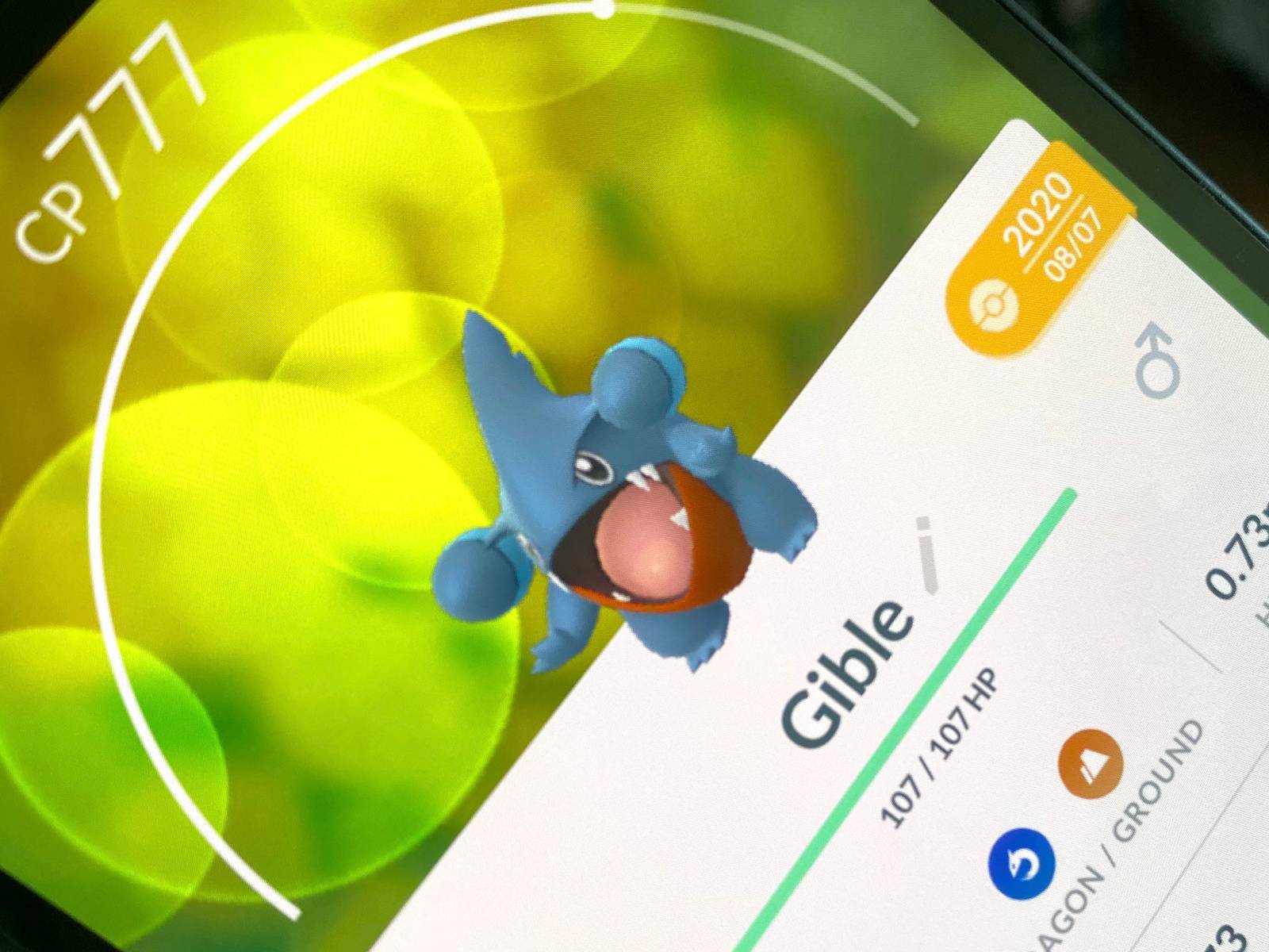 gible evolution shiny