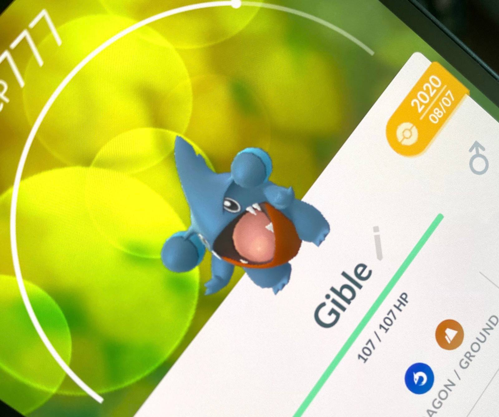 gible shiny mega evolution